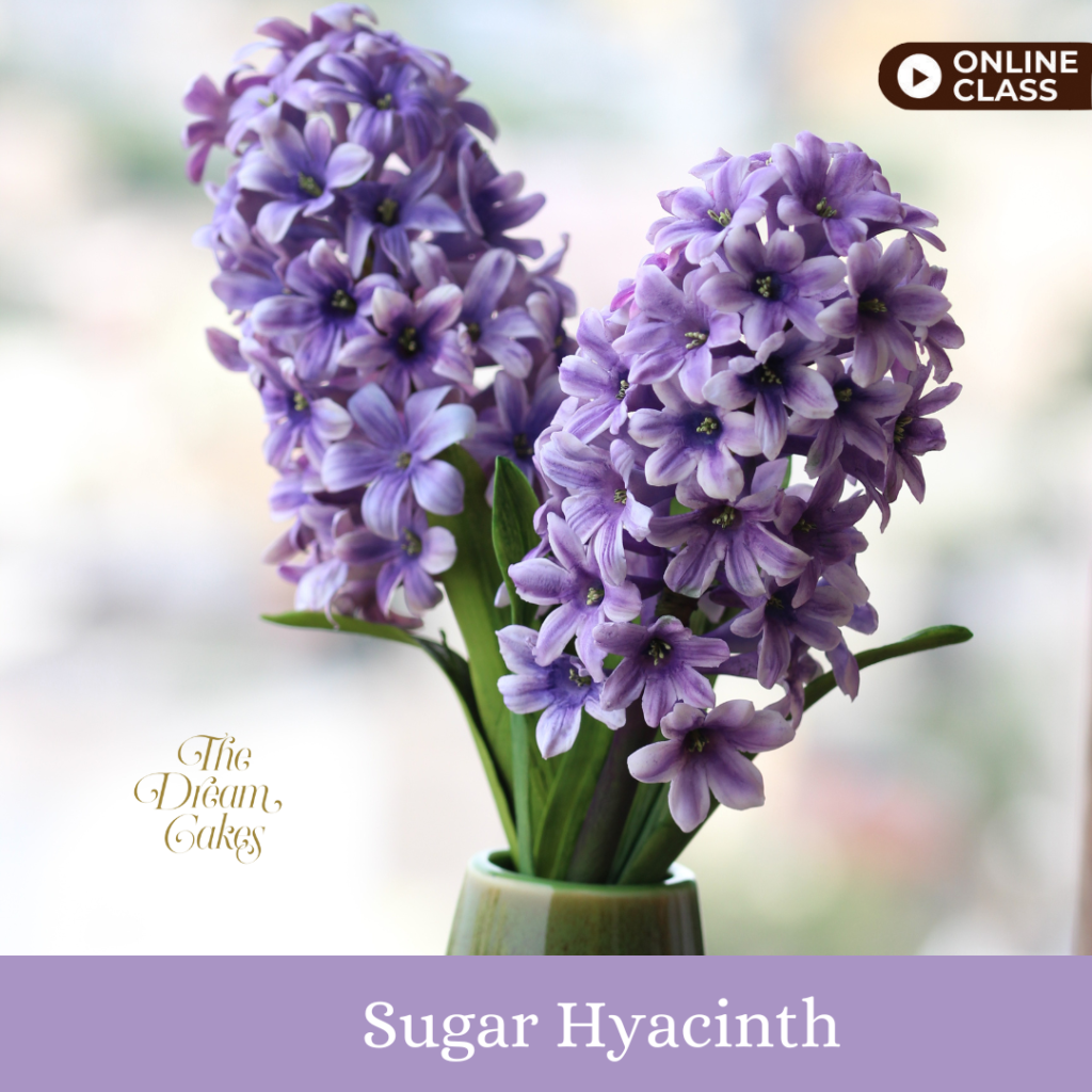 Sugar Hyacinth - The Dream Cakes